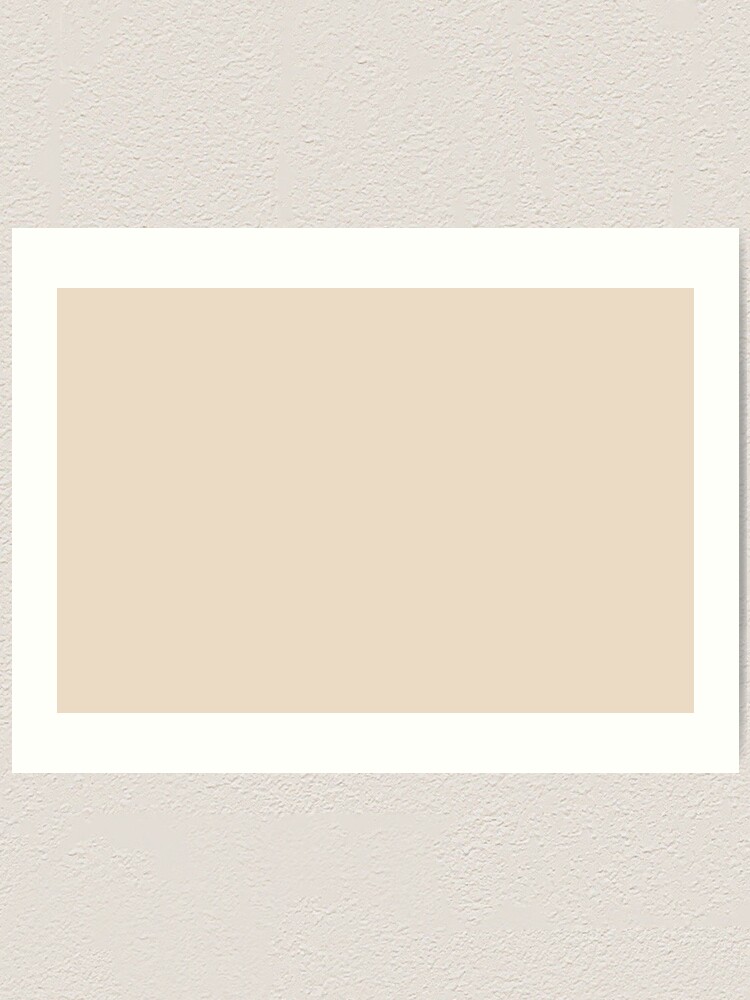 "Lace Off White Solid Color Pairs PPG Sandpiper PPG1077-2 - All One ...