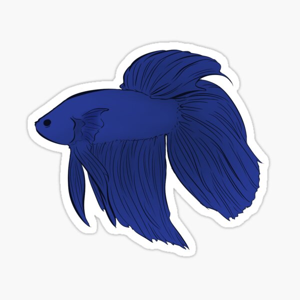 "Blue Veil Tail Betta Fish Sticker" Sticker for Sale by rawrimamidget ...