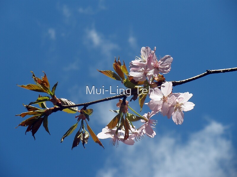 "Stand Alone" by Mui-Ling Teh | Redbubble