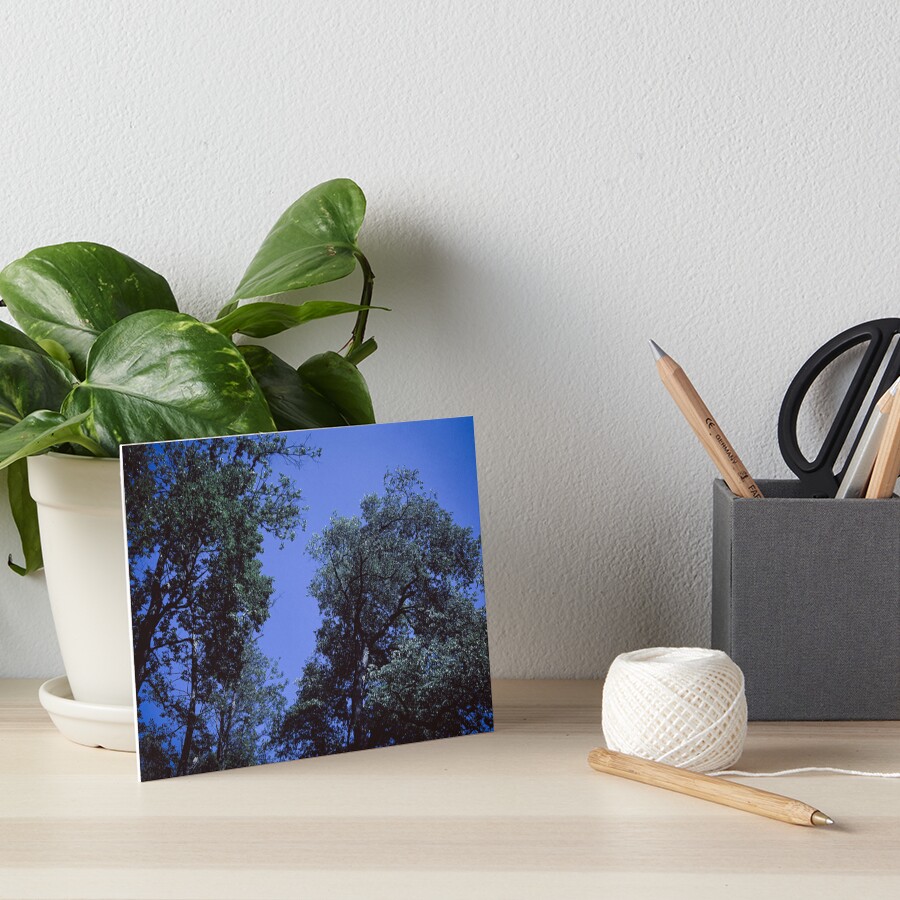 "dazecore aesthetic trees blue sky green leaves aesthetic" Art Board ...