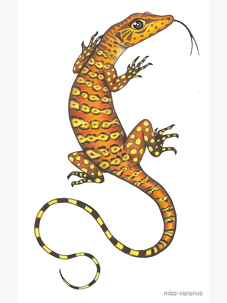 "Pilbara Rock Monitor" Art Print by miss-varanus | Redbubble