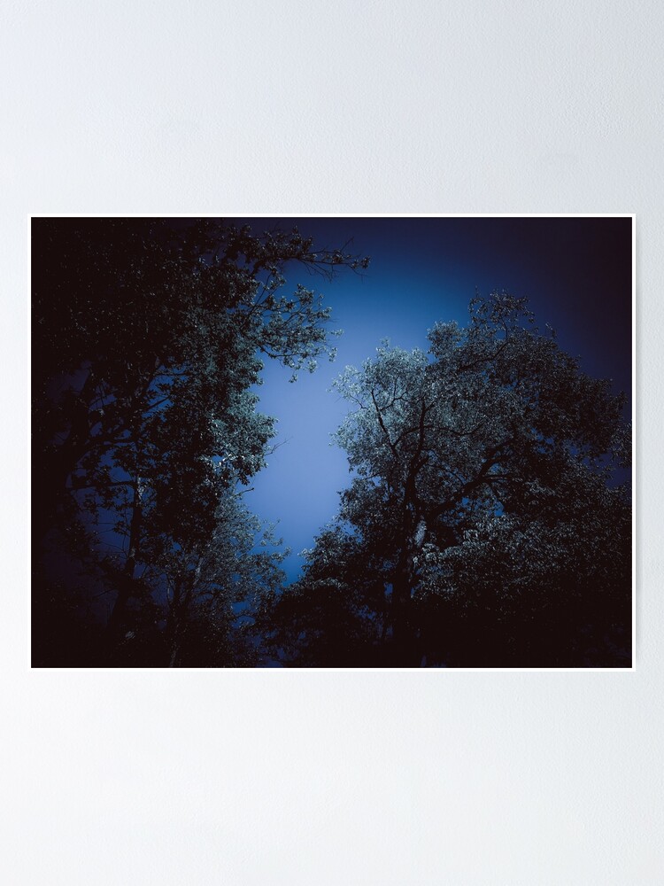 "dazecore aesthetic trees blue sky green leaves aesthetic darker vin ...