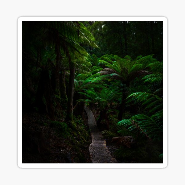 "Fern Gully" Sticker by darylfrakes | Redbubble