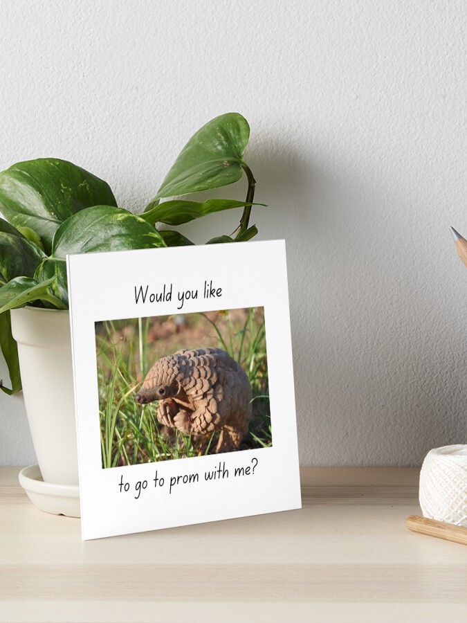 "Would you like to go to prom with me?, baby pangolin meme, Graduation ...
