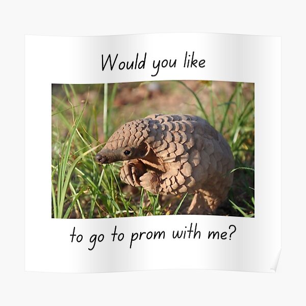 Póster «¿Te gustaría ir al baile de graduación conmigo?, meme de ...