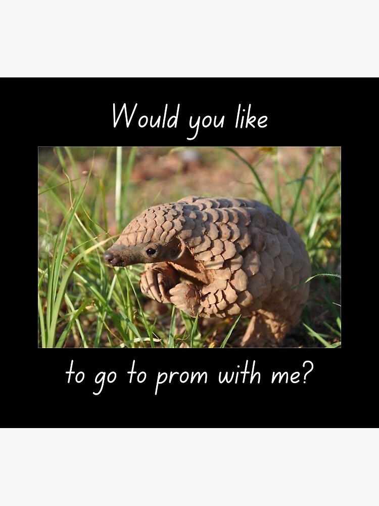 Lámina artística «¿Te gustaría ir al baile de graduación conmigo?, meme ...