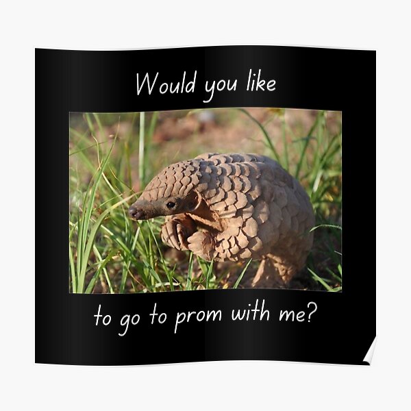 Póster «¿Te gustaría ir al baile de graduación conmigo?, meme de ...