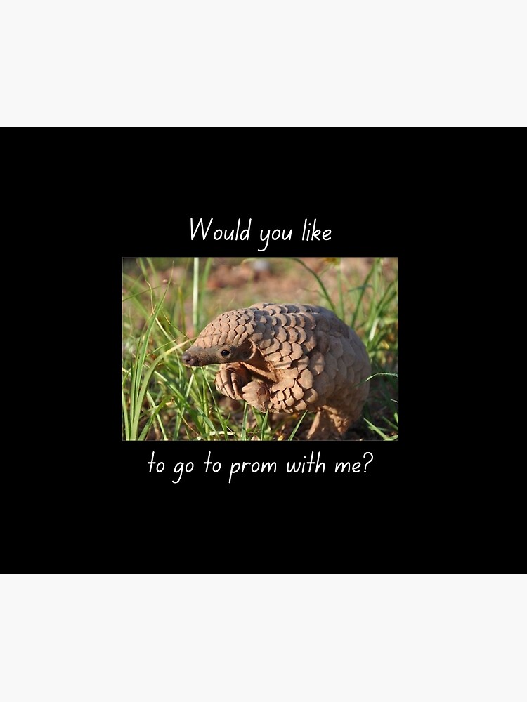 Manta «¿Te gustaría ir al baile de graduación conmigo?, meme de ...