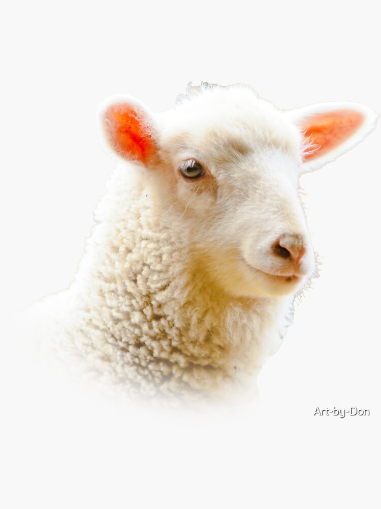 "Lamb Chop" Sticker for Sale by Art-by-Don | Redbubble