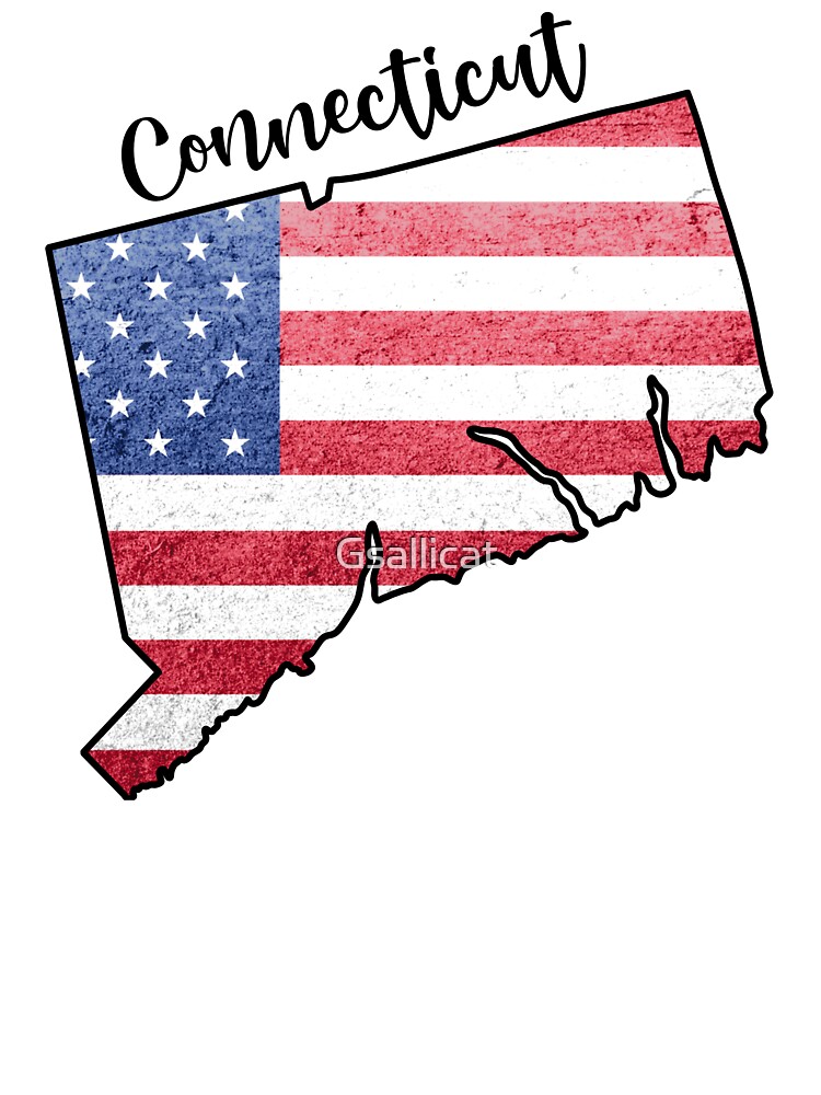 Connecticut State Flag And Usa