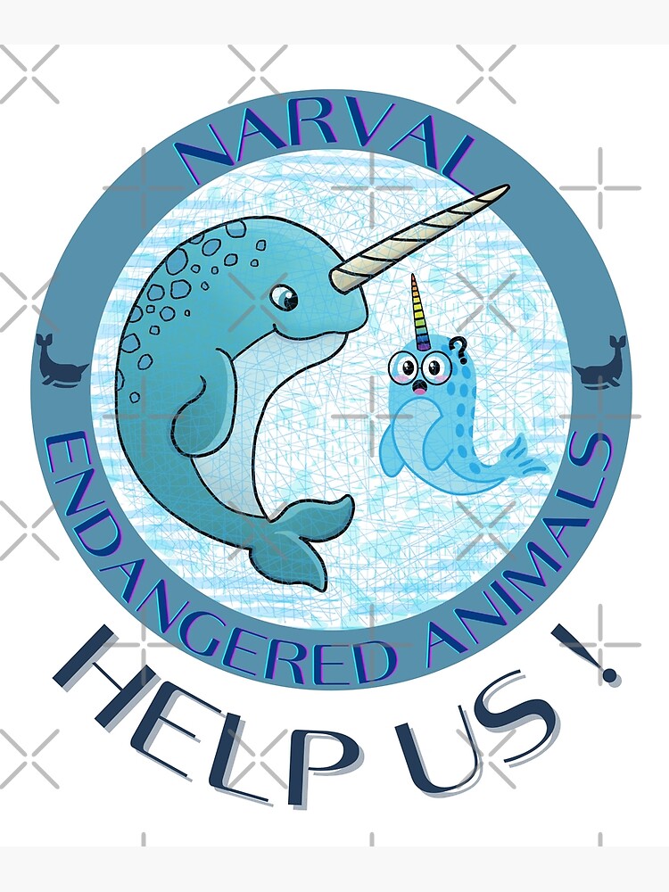 Lámina fotográfica « Narval, animales marinos en peligro de extinción» de yassooarts | Redbubble