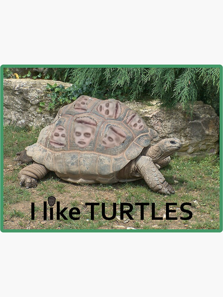 "I like TURTLES | Zombie Kid | Viral video" Sticker for Sale by ...