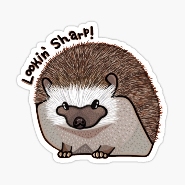 "Hedgehog Lookin' Sharp Pun" Sticker for Sale by Meganthemuppet | Redbubble
