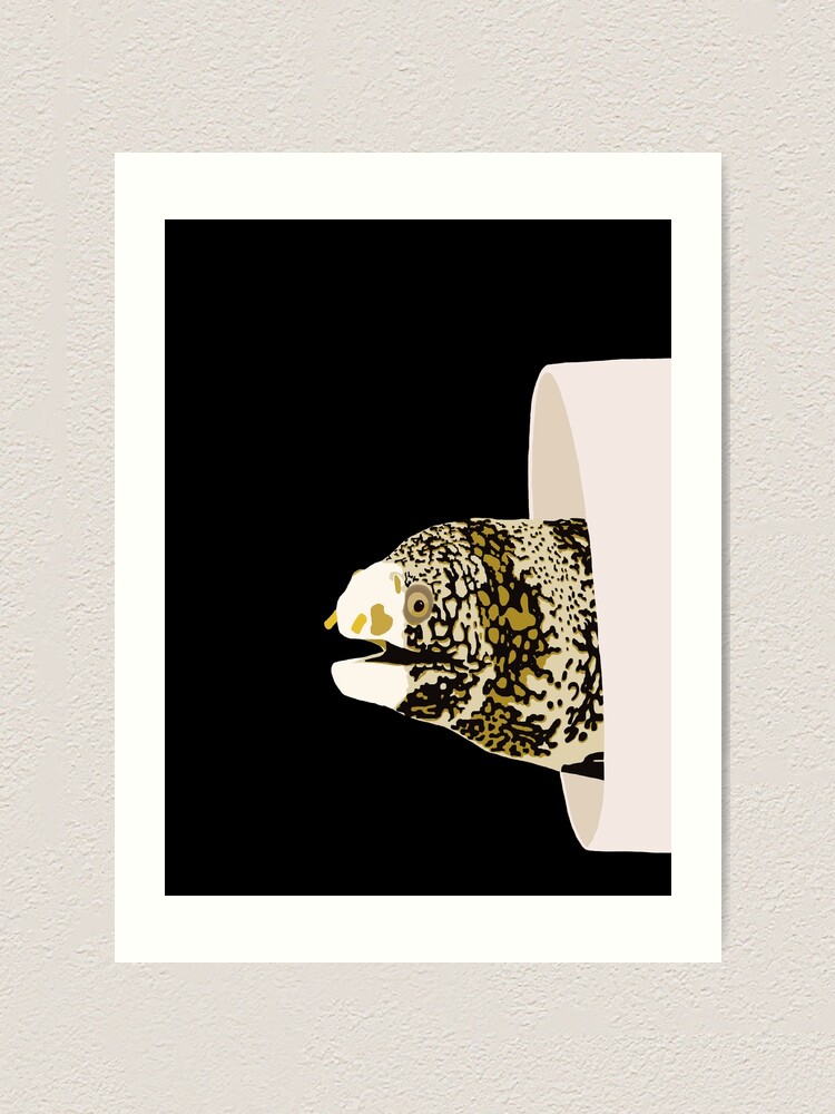 "Snowflake Eel" Art Print for Sale by emarinelife | Redbubble