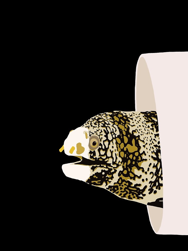 "Snowflake Eel" Art Print for Sale by emarinelife | Redbubble