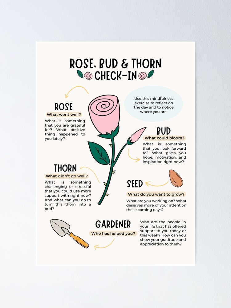 "Rose, Bud, and Thorn Check-In" Poster for Sale by PKindThoughts ...
