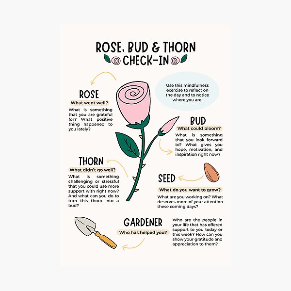 "Rose, Bud, and Thorn Check-In" Photographic Print for Sale by ...