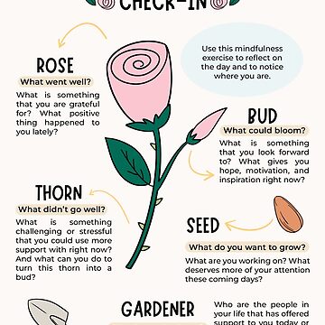 "Rose, Bud, and Thorn Check-In" Photographic Print for Sale by Plant ...