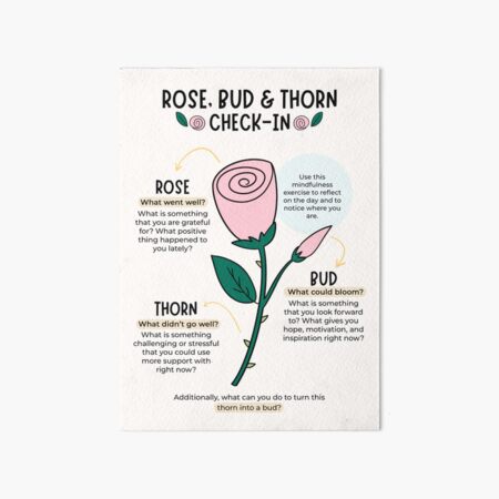 "Rose, Bud, and Thorn Check-In" Art Board Print for Sale by ...