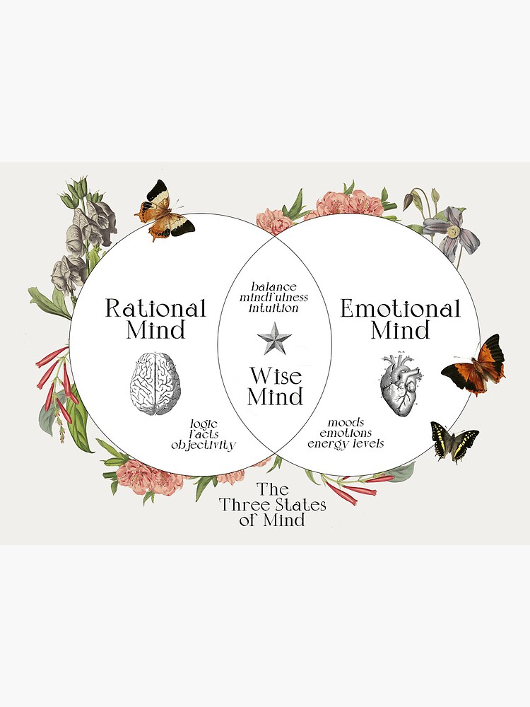 Dbt Art DBT Treatment Manuals, Recommended Books & Videos