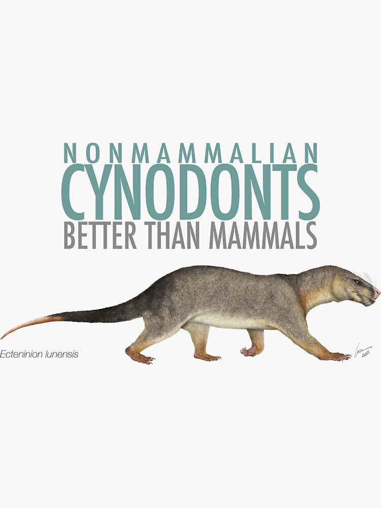 "Cynodonts are better than mammals" Sticker for Sale by SerpenIllus ...