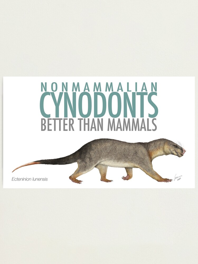 "Cynodonts are better than mammals" Photographic Print by SerpenIllus ...