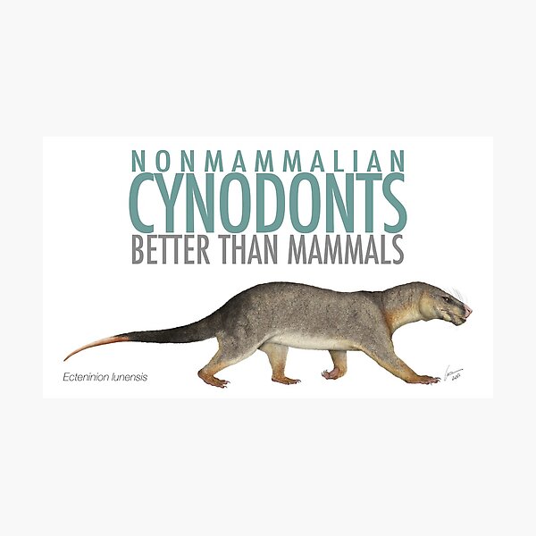 "Cynodonts are better than mammals" Photographic Print by SerpenIllus ...
