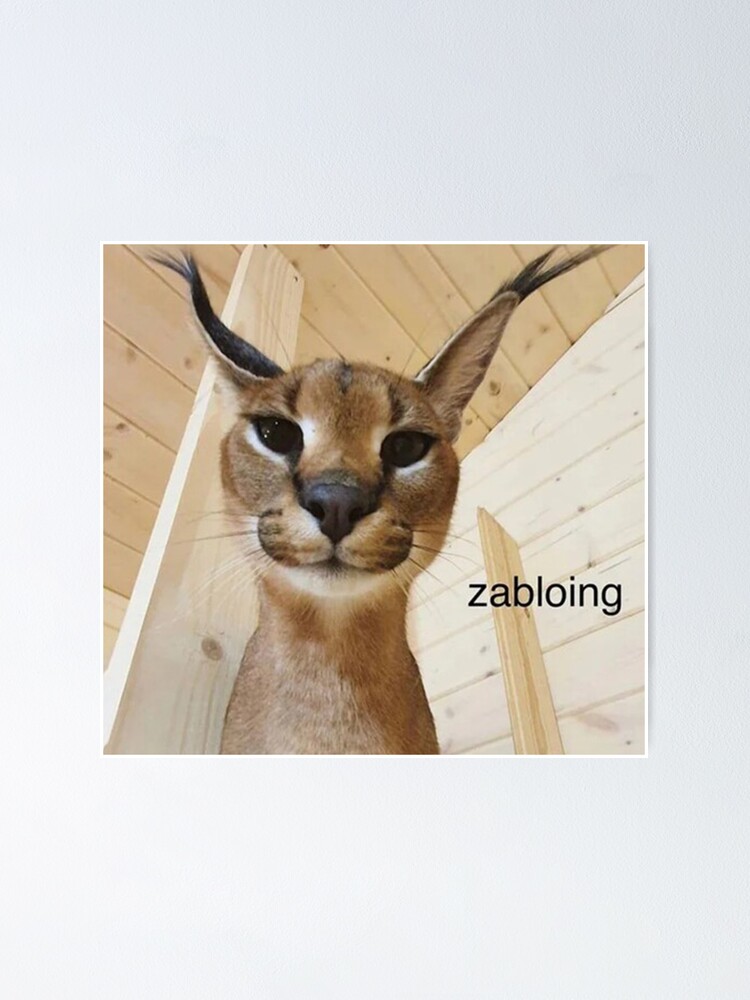 "Zabloing Meme" Poster by SukaSukaSuki | Redbubble
