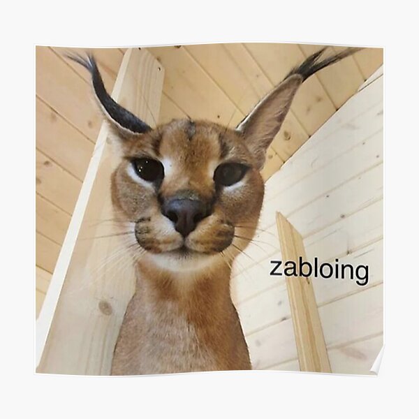"Zabloing Meme" Poster by SukaSukaSuki | Redbubble