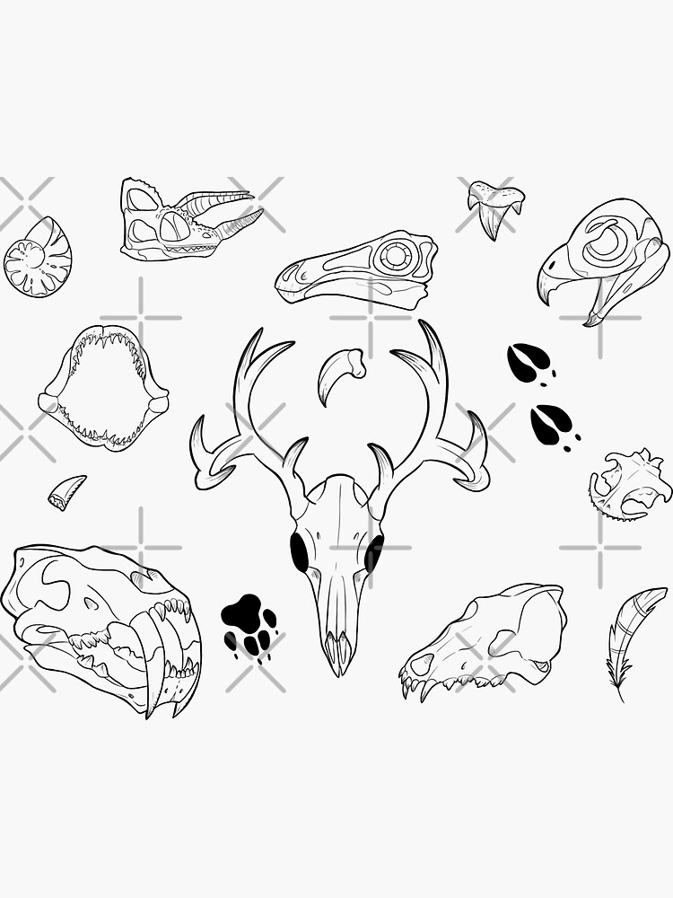 "Animal Skulls" Sticker for Sale by Upbeat-Cryptid | Redbubble