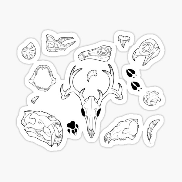 "Animal Skulls" Sticker for Sale by Upbeat-Cryptid | Redbubble