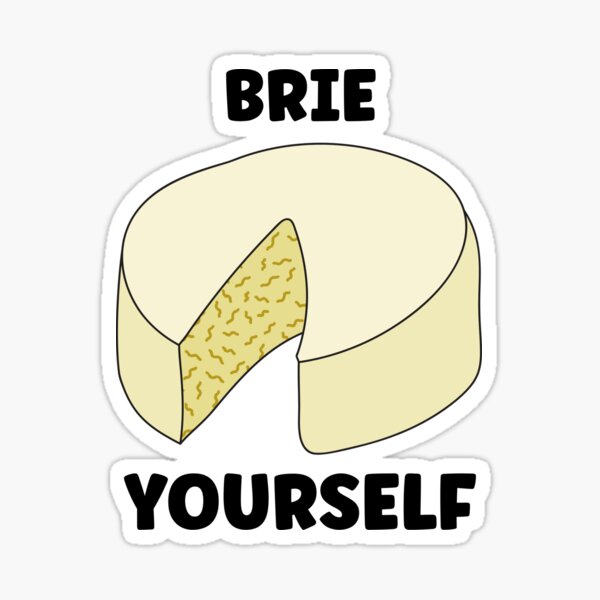 " Brie Yourself Funny Cheese Dad Jokes T-Shirt Cheesy Puns About Cheese ...