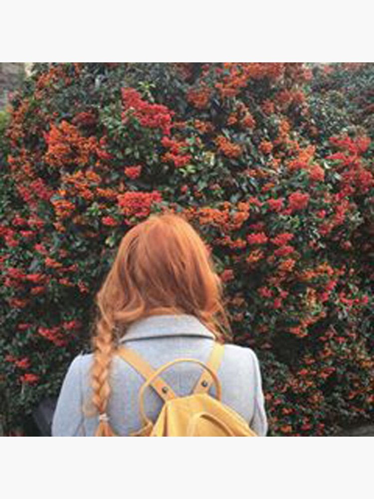 "Ivy Anne" Sticker for Sale by budpress | Redbubble