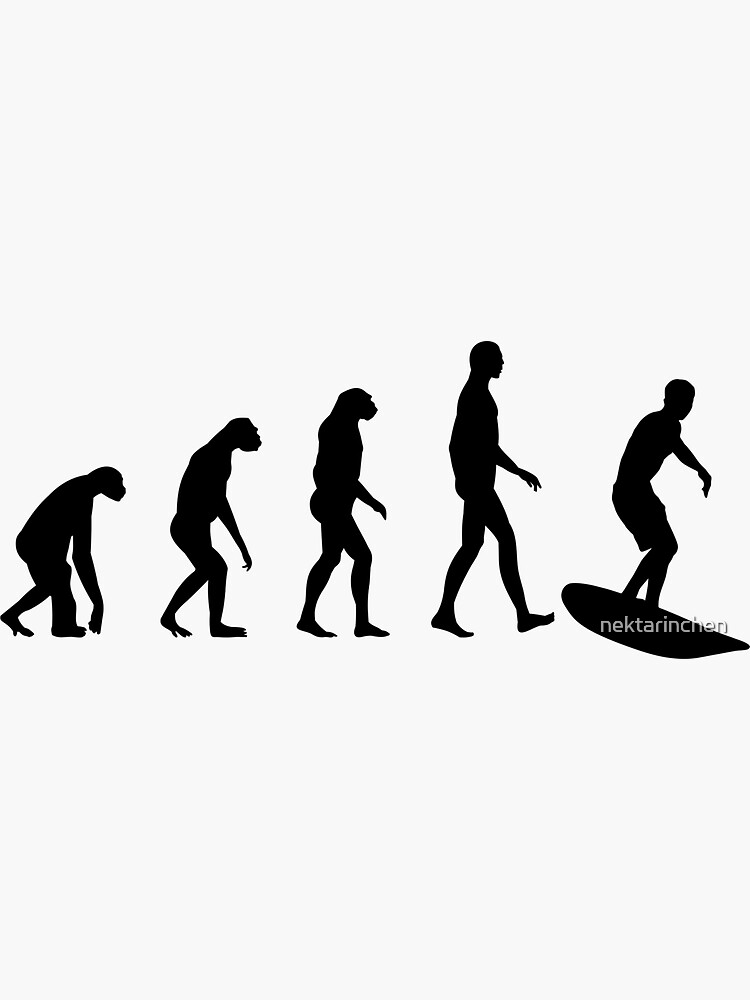 "Evolution Surf" Sticker for Sale by nektarinchen | Redbubble