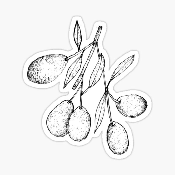 "Hand Drawn of Green Olives" Sticker for Sale by Iamnee | Redbubble
