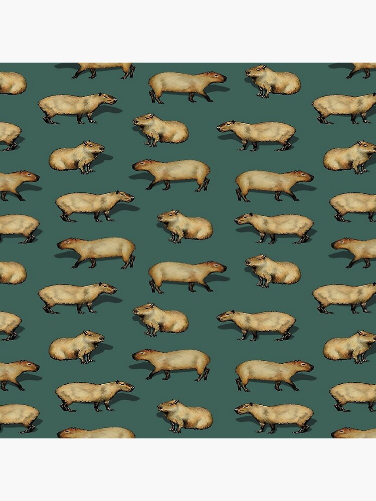 "Cute Capybara Print " Sticker for Sale by nikopashko | Redbubble