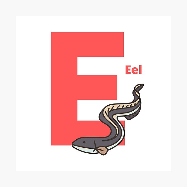 "E for Eel - Alphabet and Sea Animals" Photographic Print for Sale by ...