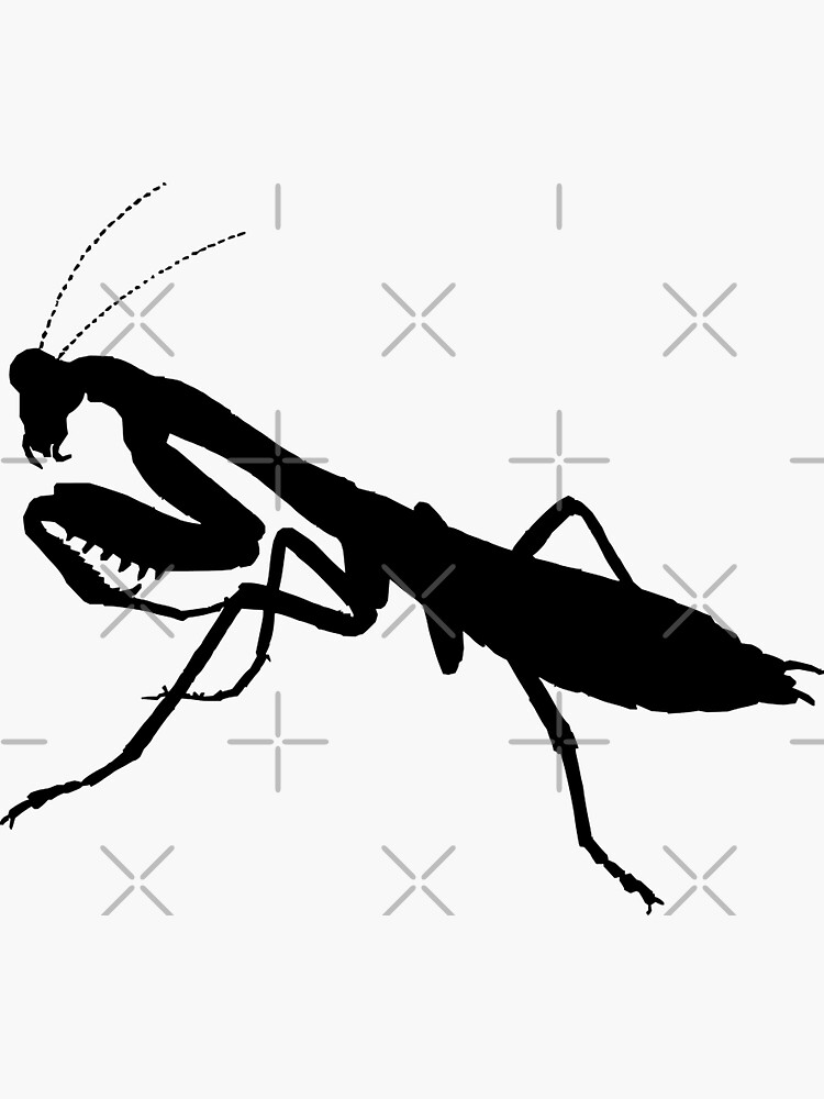 "Praying Mantis" Sticker for Sale by Smaragdas | Redbubble