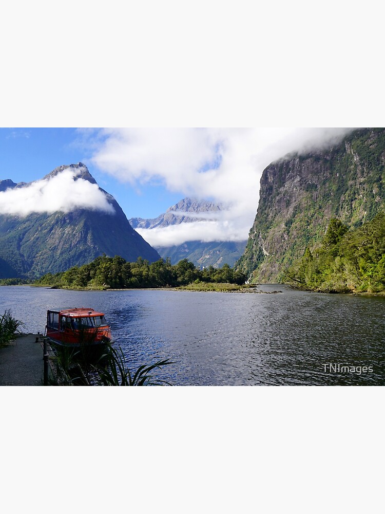 "New Zealand - Sandfly Point - Milford Track" Poster for Sale by ...
