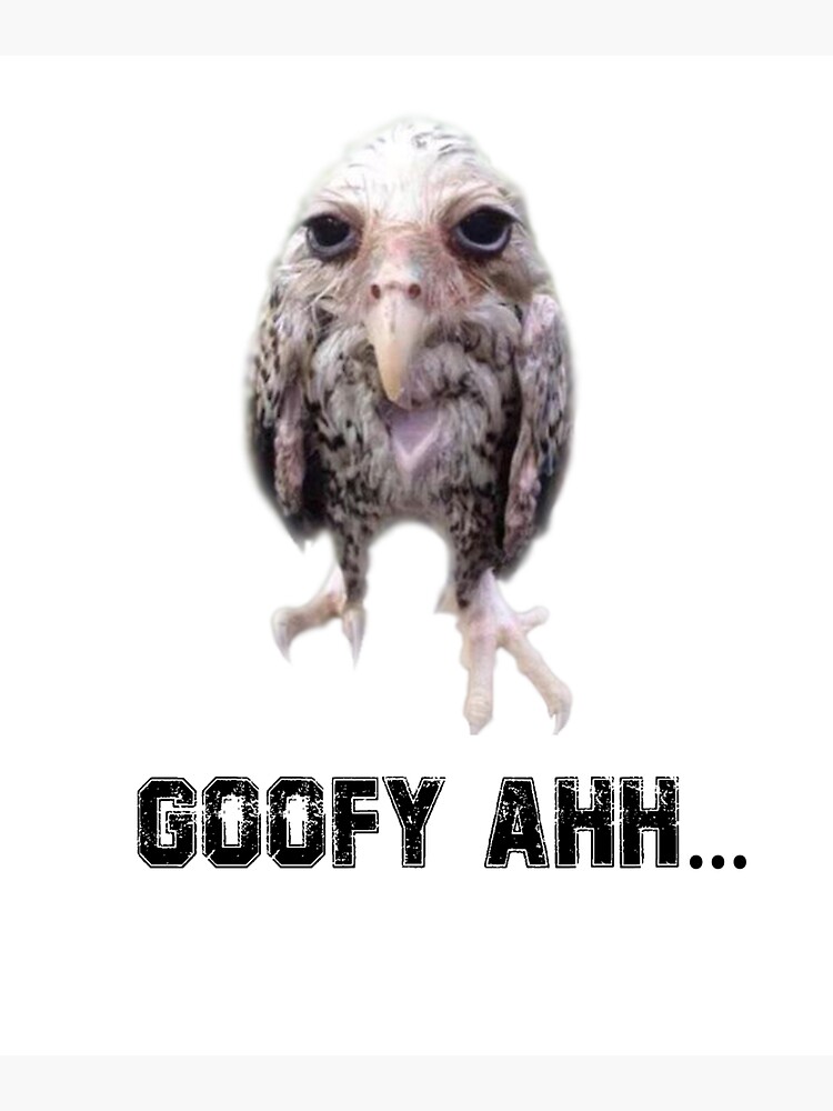 "Goofy Ahh Funny Meme with Goofy Ahh Bird" Sticker for Sale by ...