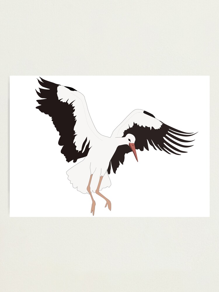 "Ein Storch landet mit ausgebreiteten Flügeln" Fotodruck von Yven ...
