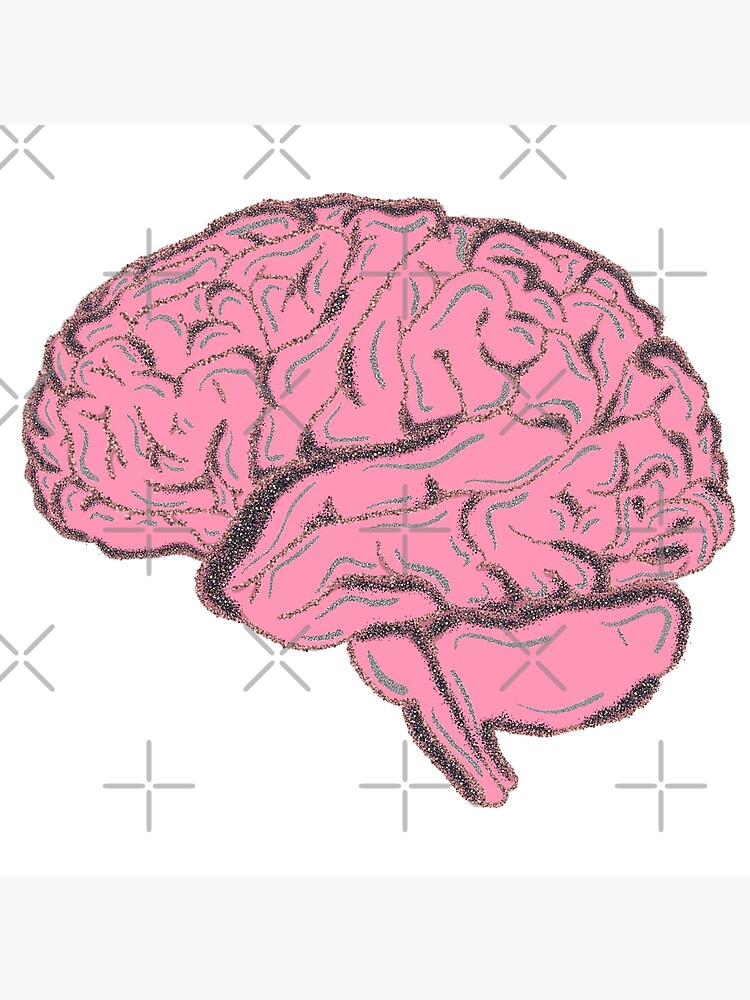 "brain - anatomy - glitter " Poster for Sale by itsmemaytal | Redbubble