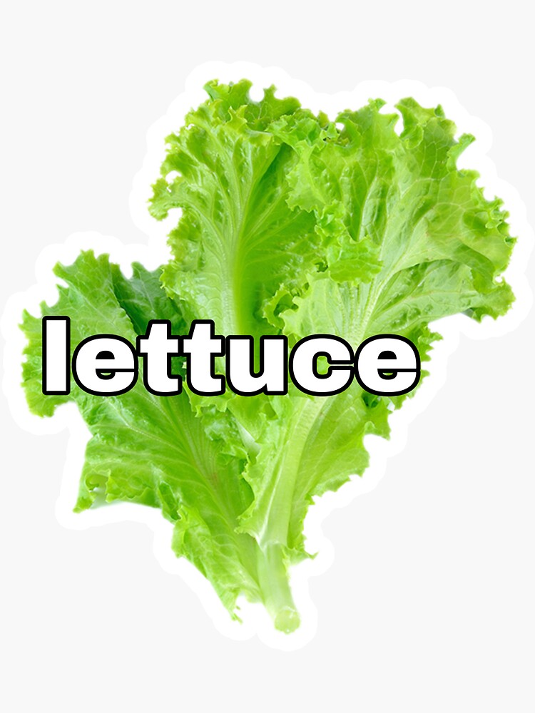 "lettuce" Sticker by izziraine | Redbubble
