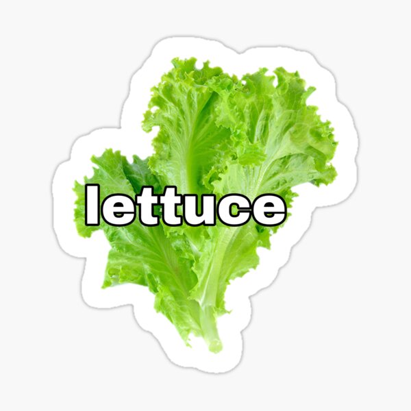 "lettuce" Sticker by izziraine | Redbubble