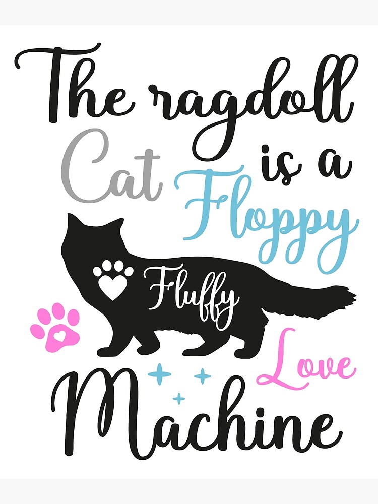 "Funny Ragdoll Cat, Ragdoll Owner Quote, The Ragdoll Cat Is A Floppy ...