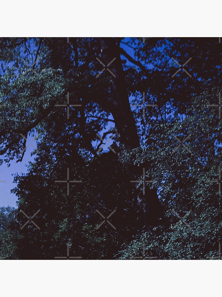 "vintage dazecore forest" Poster for Sale by sielexis | Redbubble