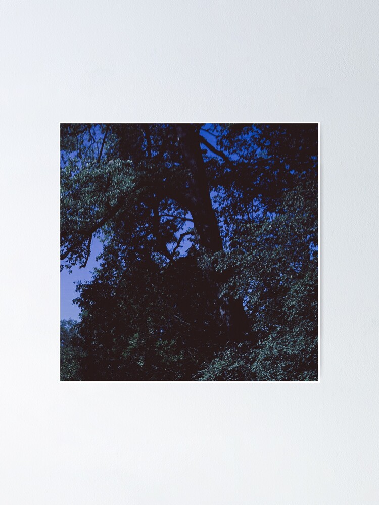 "vintage dazecore forest" Poster for Sale by sielexis | Redbubble