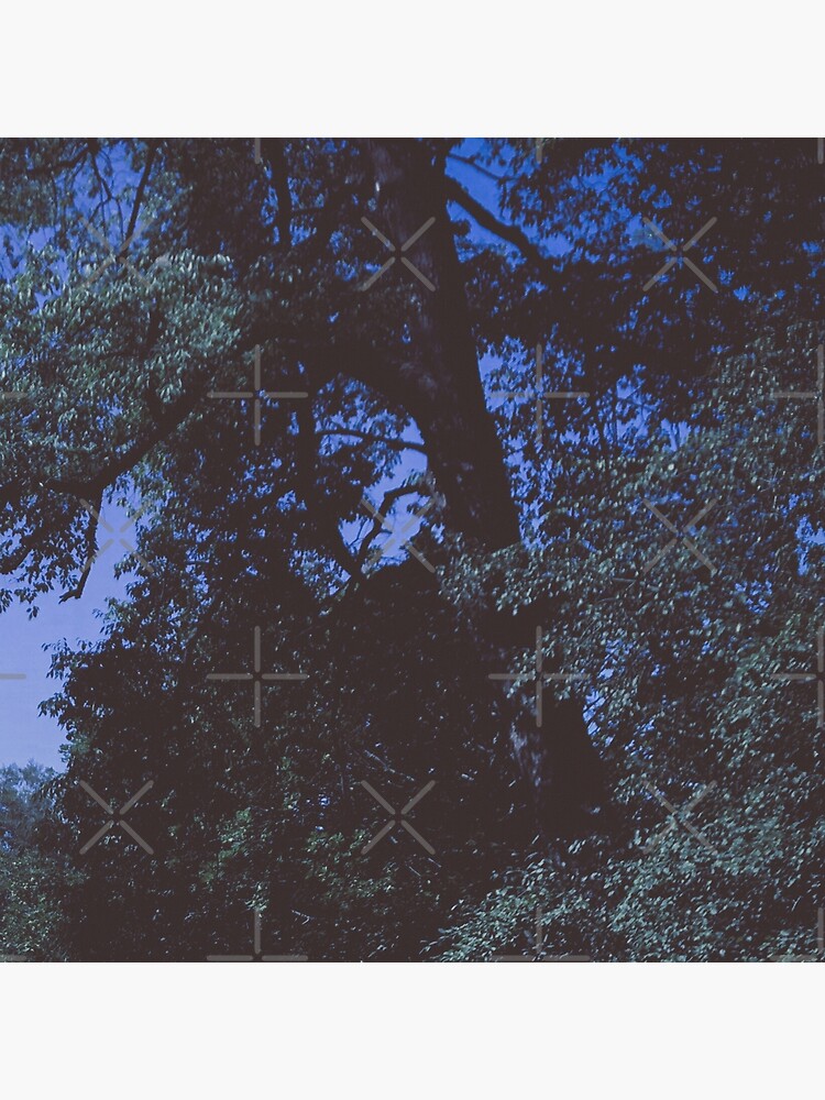 "vintage aesthetic dazecore aesthetic photography 1:1" Art Board Print ...