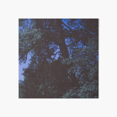 "vintage aesthetic dazecore aesthetic photography 1:1" Art Board Print ...