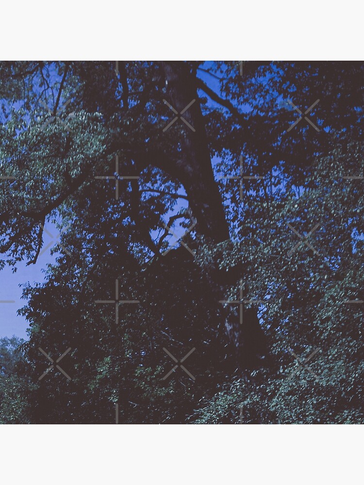 "vintage aesthetic dazecore aesthetic photography 1:1" Poster for Sale ...